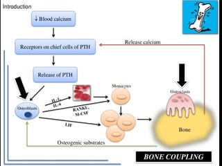 BONE LOSS AND PATTERNS OF BONE DESTRUCTION.pptx