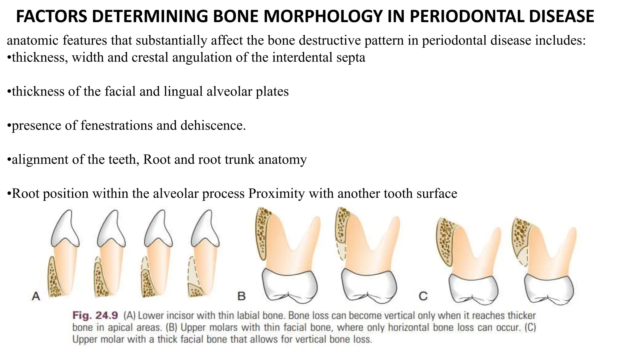 BONE LOSS AND PATTERNS OF BONE DESTRUCTION ishu.pptx