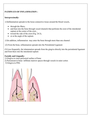 Bone loss patterns | PDF
