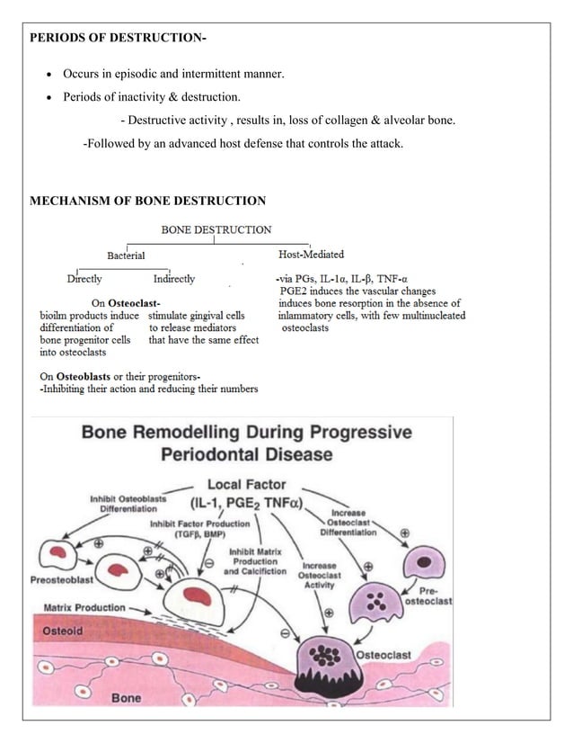 Bone loss patterns | PDF | Bone and Joint Conditions | Diseases and ...