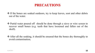 Bone maceration | PPTX