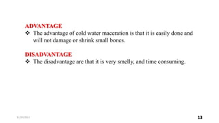 Bone maceration | PPTX
