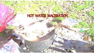 Bone maceration | PPTX