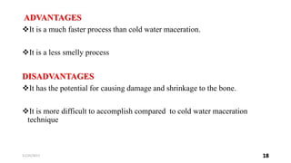 Bone maceration | PPTX