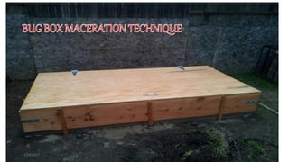 Bone maceration | PPTX