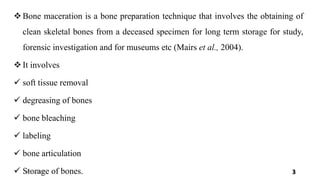 Bone maceration | PPTX
