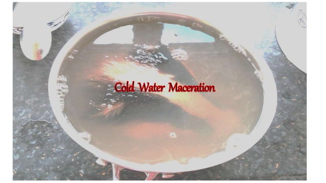 Bone maceration | PPTX