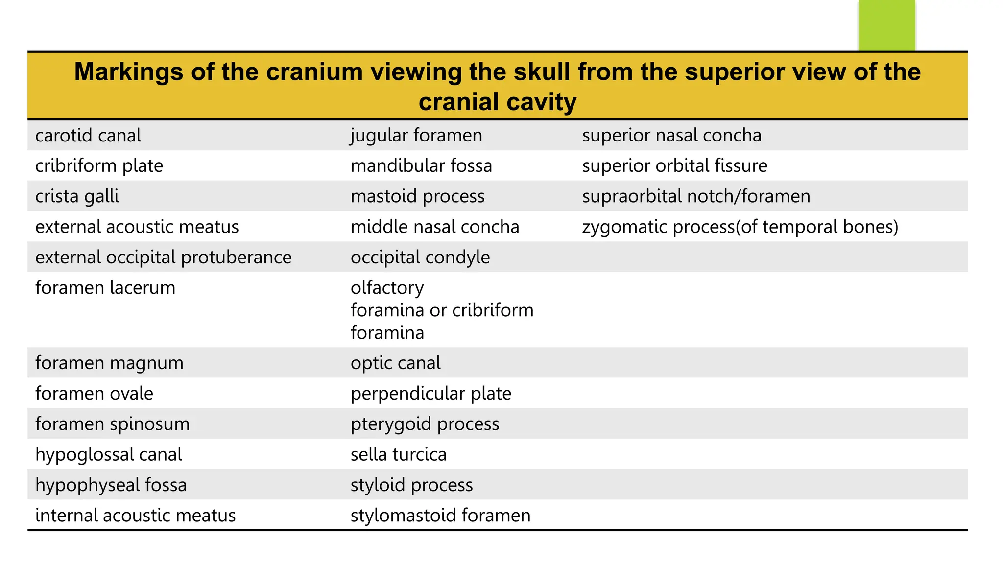 BONE MARKINGS Part 3 by Dr. Rabia Inam Gandapore.pptx