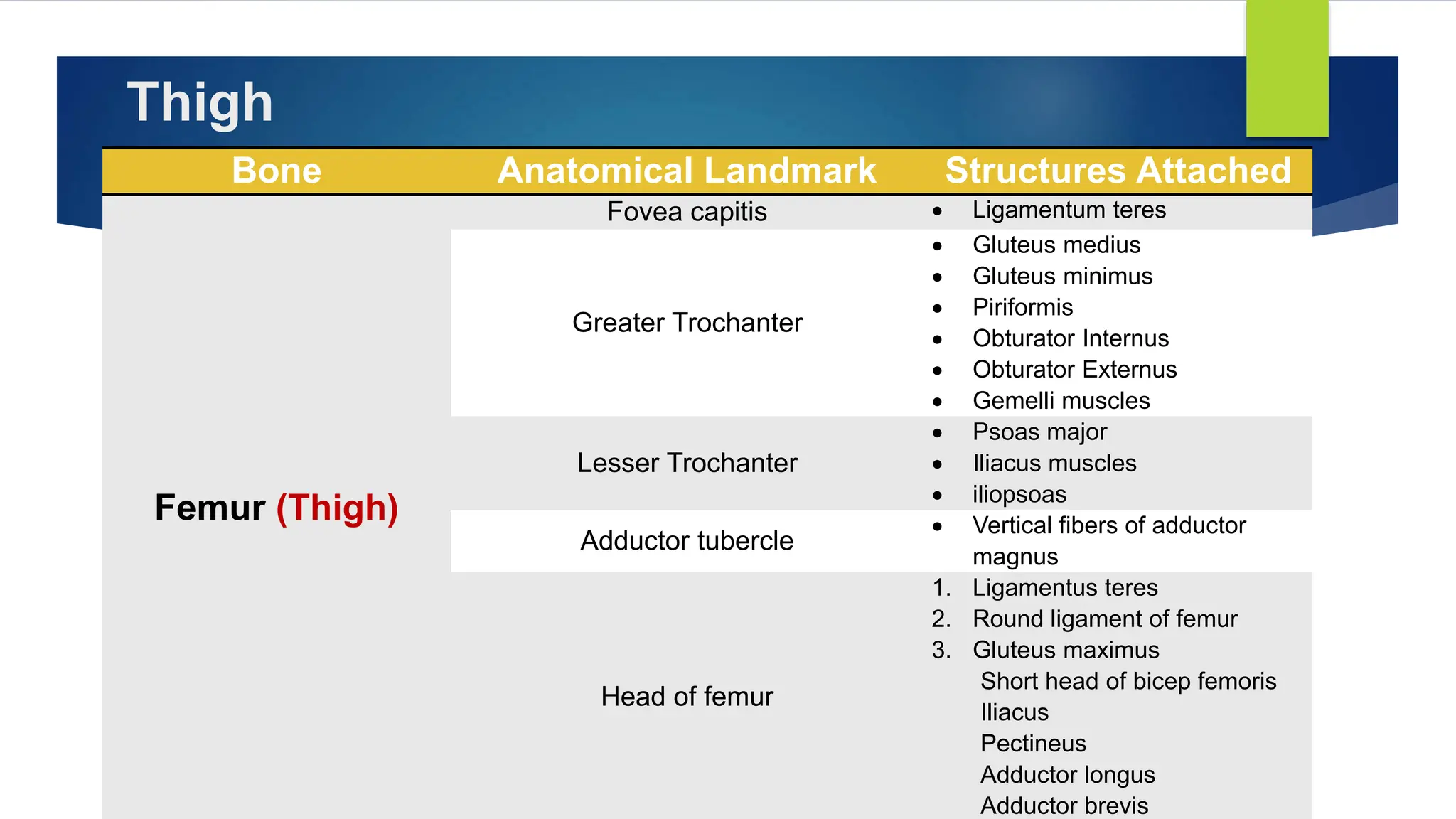 BONE MARKINGS Part 3 by Dr. Rabia Inam Gandapore.pptx