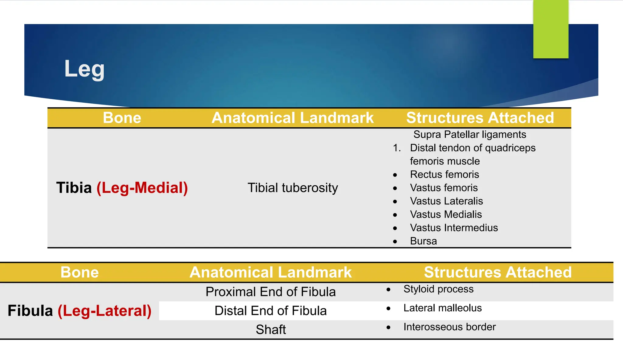 BONE MARKINGS Part 3 by Dr. Rabia Inam Gandapore.pptx