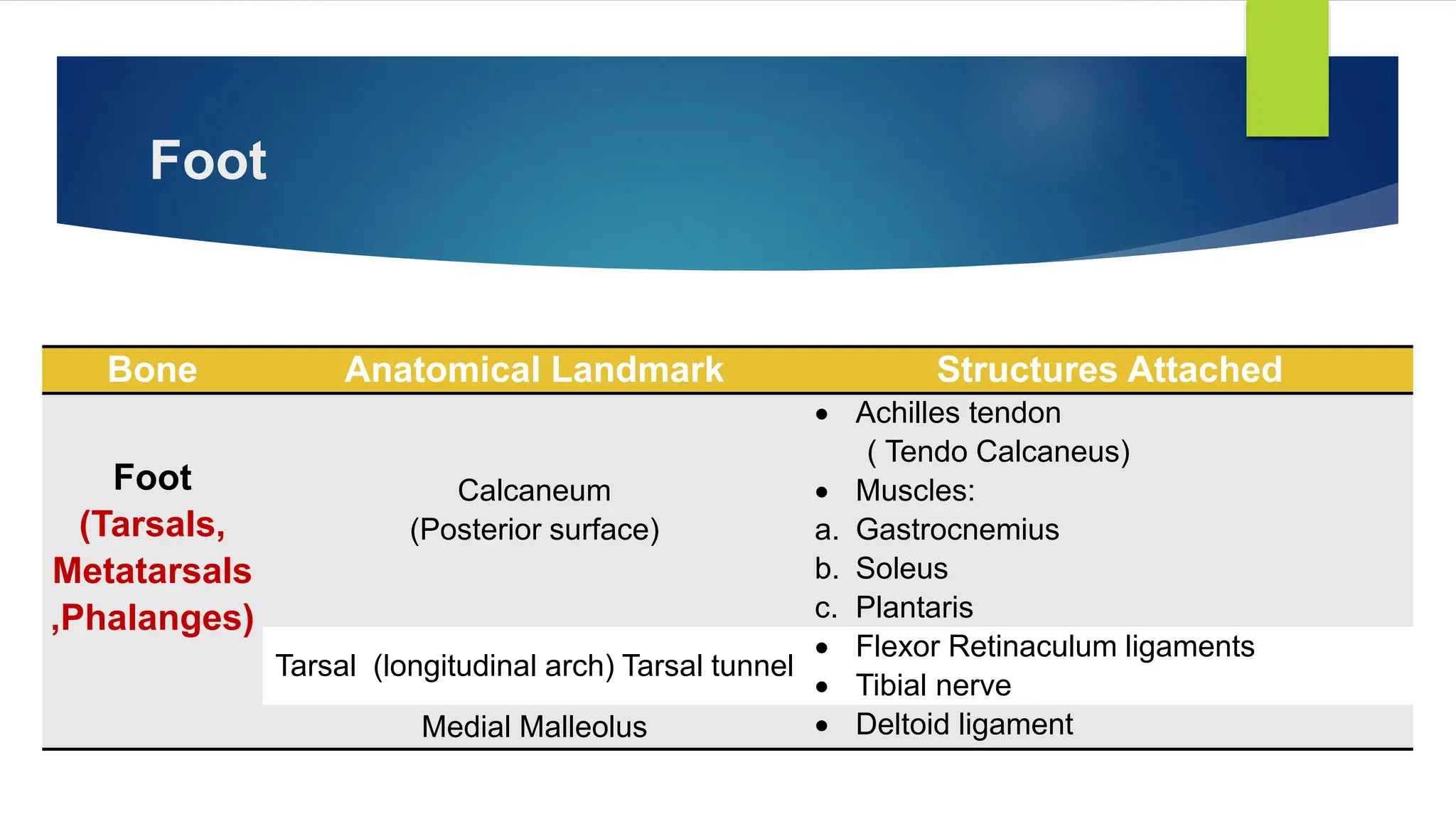 BONE MARKINGS Part 3 by Dr. Rabia Inam Gandapore.pptx