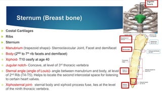 BONE MARKINGS Part 3 by Dr. Rabia Inam Gandapore.pptx