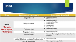 BONE MARKINGS Part 3 by Dr. Rabia Inam Gandapore.pptx