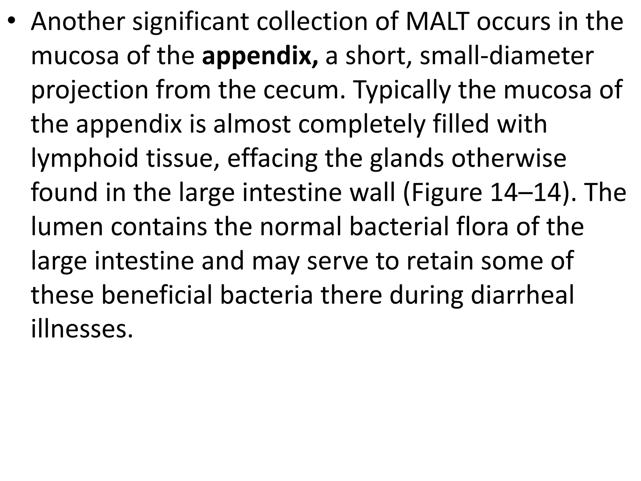 Bone marrow histology and blood histology | PPTX
