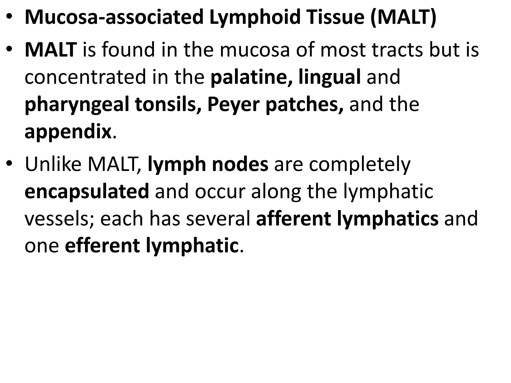 Bone marrow histology and blood histology | PPTX