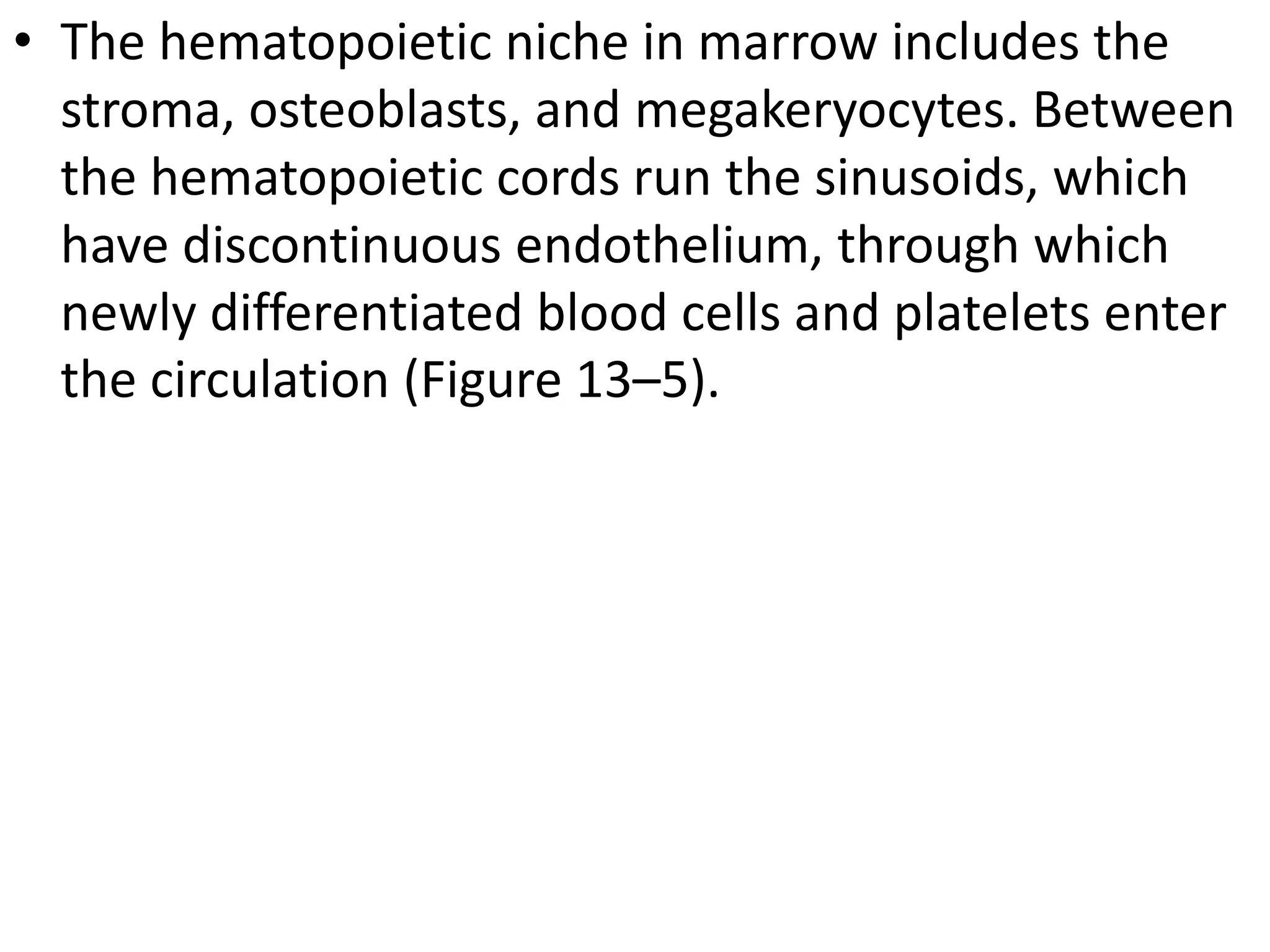 Bone marrow histology and blood histology | PPTX