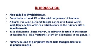 BONE MARROW anatomy and physiology .pptx