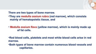 BONE MARROW anatomy and physiology .pptx