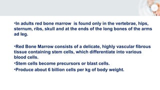 BONE MARROW anatomy and physiology .pptx