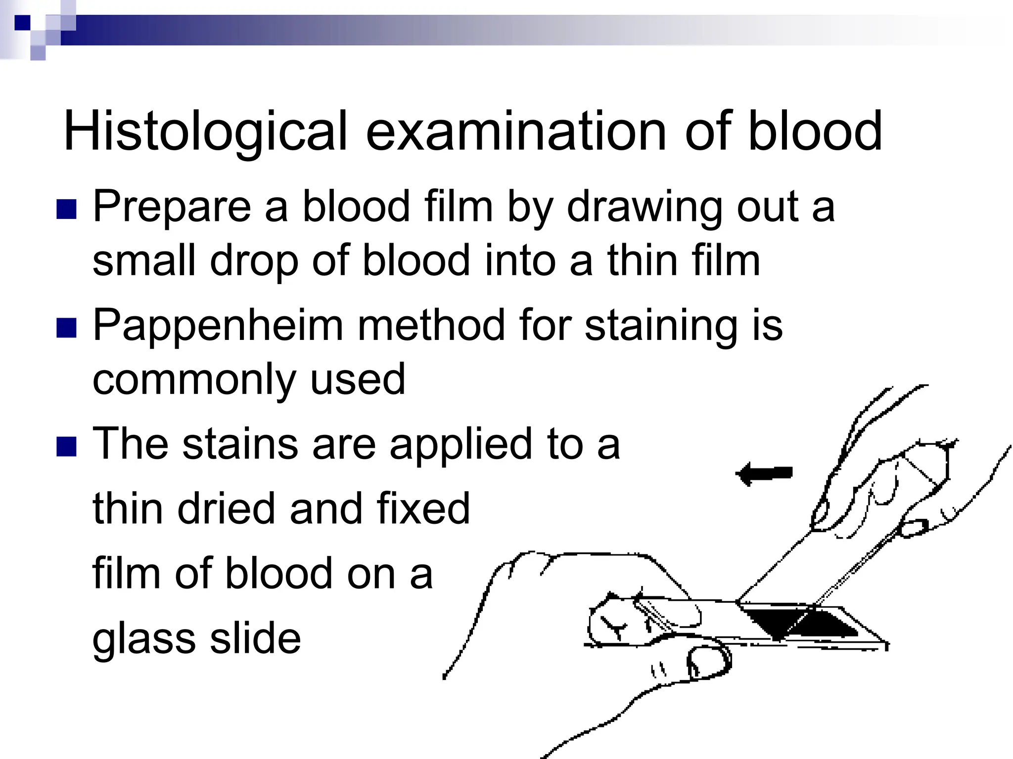 Bone_marrow_and_blood_2020.pdf bone marrow ppt | PDF