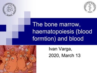 Bone_marrow_and_blood_2020.pdf bone marrow ppt | PPT