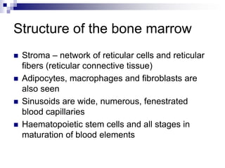 Bone_marrow_and_blood_2020.pdf bone marrow ppt | PDF