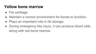 Bone marrow and function.pptx