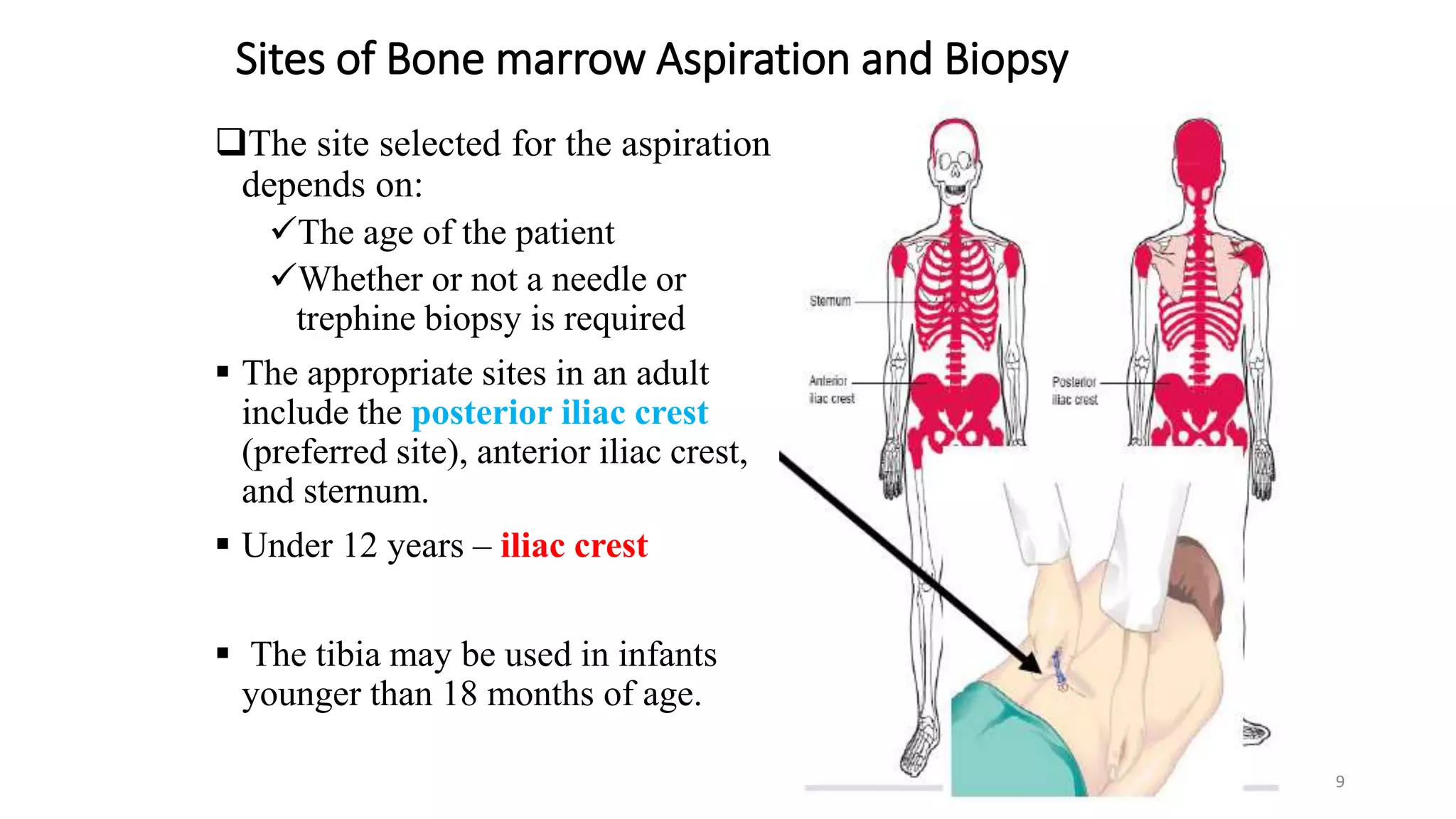 bone marrow aspiration.pptx