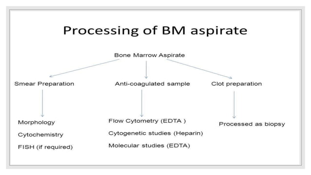 Bone marrow aspiration & biopsy | PPTX