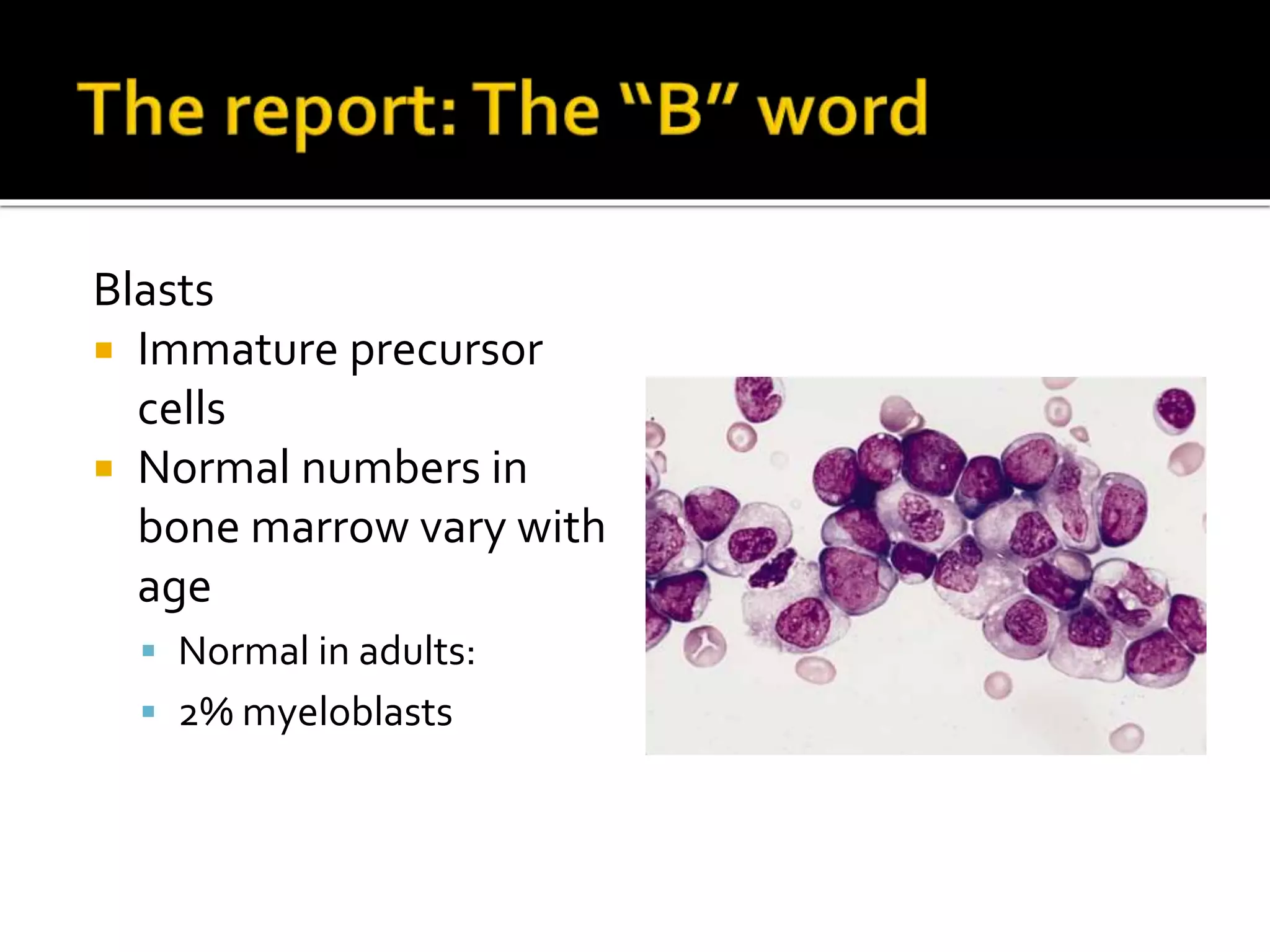 Bone marrow aspiration reports | PPTX