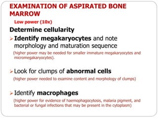 Bone marrow biopsy | PPTX