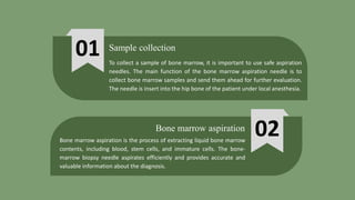 Bone Marrow Biopsy Needle in Hematology Diagnostics | PPT