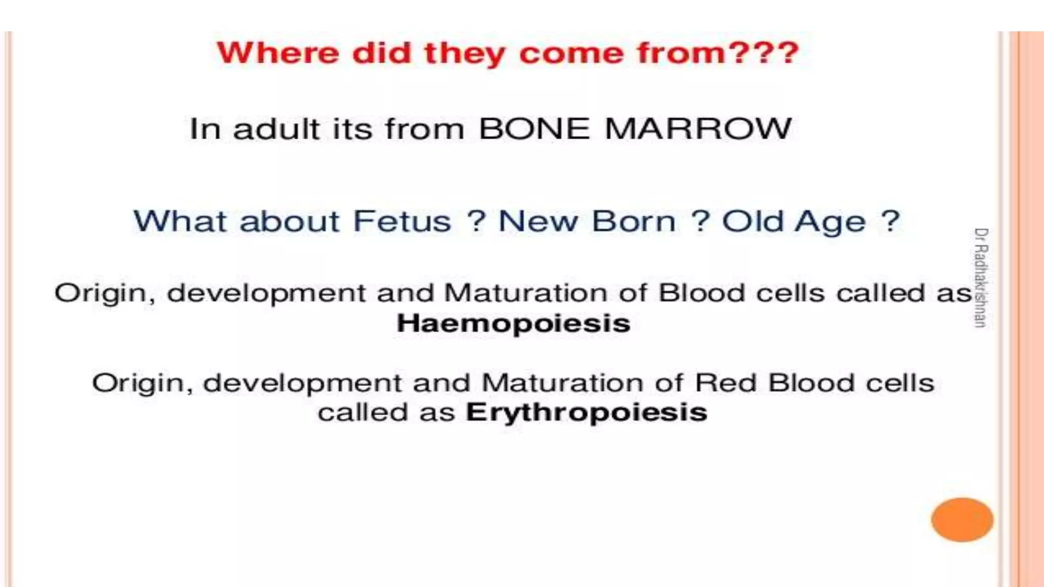 BONE MARROW.pptx