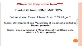 BONE MARROW.pptx