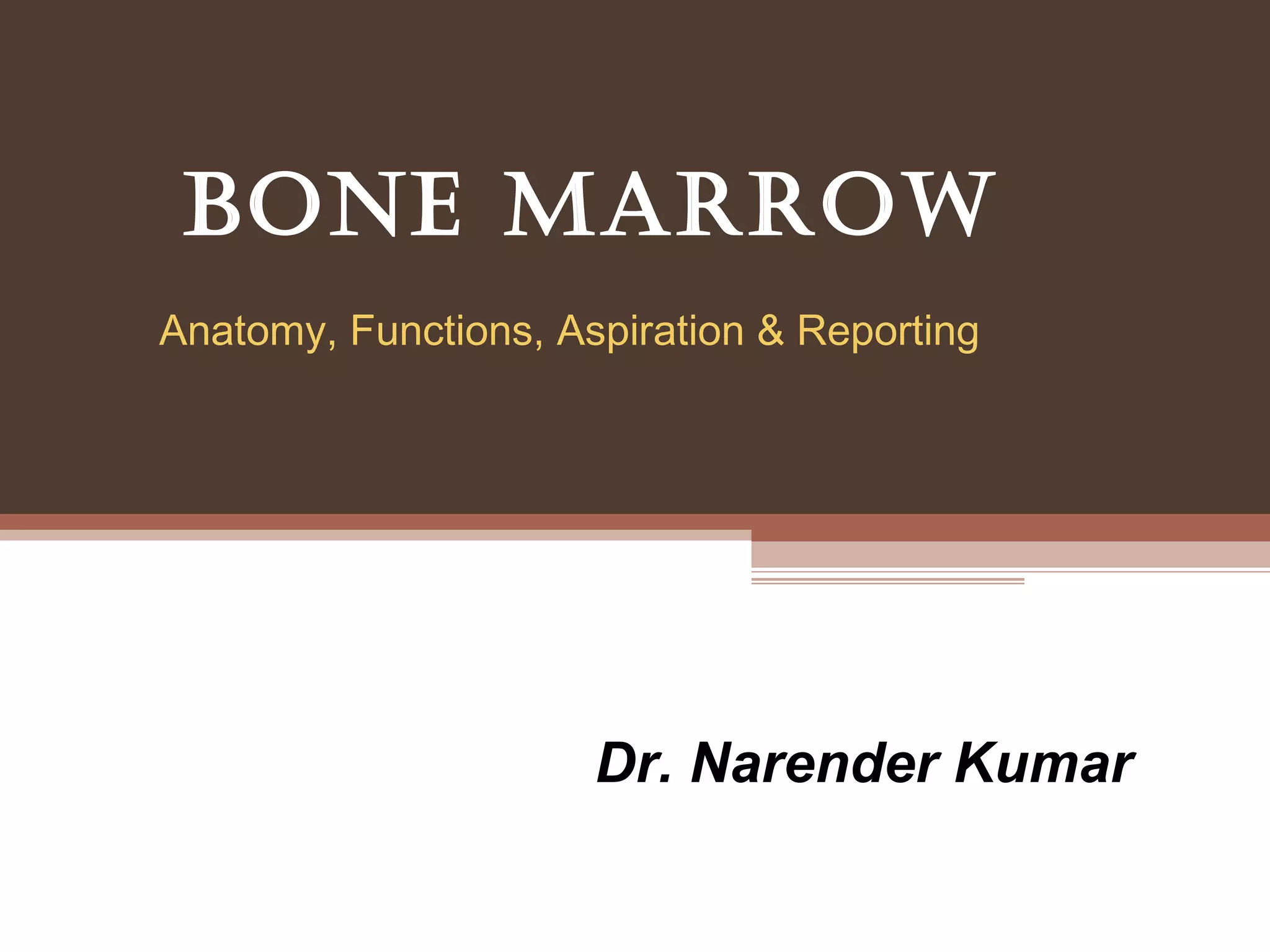 Bone marrow class | PPT