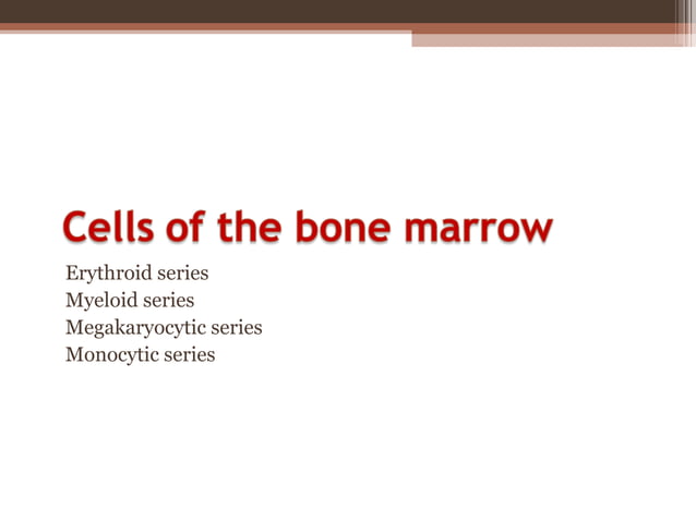 Bone marrow class | PPT | Bone and Joint Conditions | Diseases and Conditions