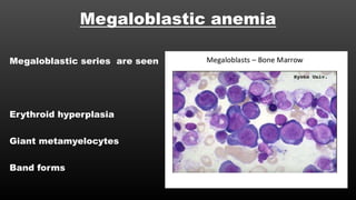 Bone marrow examination | PPTX