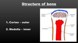 Bone marrow examination | PPTX