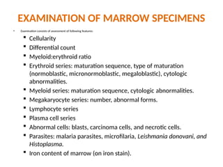 BONE MARROW EXAMINATION presentation for pathology | PPTX