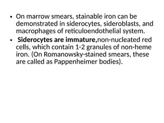 BONE MARROW EXAMINATION presentation for pathology | PPTX