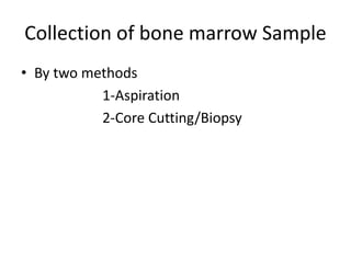 Bone marrow examination in all domestic animals By Dr. Sama Awais Akram ...