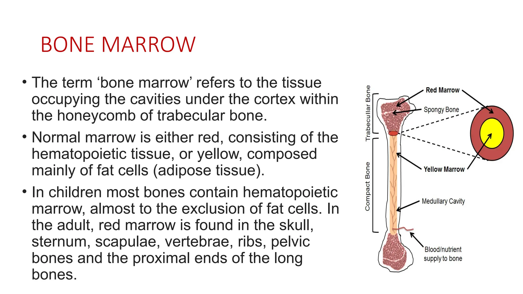 BONE MARROW & HEMATOPOIESIS..................pptx