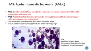 BONE MARROW IN LEUKEMIAS.types of leukaemia | PPTX