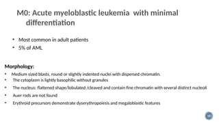 BONE MARROW IN LEUKEMIAS.pptx types of leukemia | PPTX