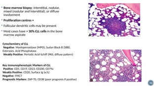BONE MARROW IN LEUKEMIAS.pptx types of leukemia | PPTX