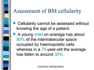 Bone marrow morphology | PPT