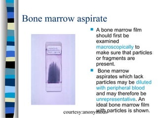 Bone marrow morphology | PPT