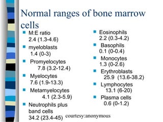 Normal Bone Marrow Cells