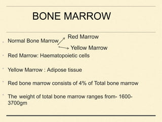 bone marrow ppt about bone marrow biopsy | PDF