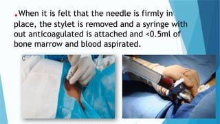 Bone marrow smear preparation.......pptx